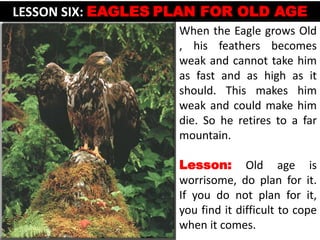 LIFE LESSONS FROM EAGLES for personal development | PDF