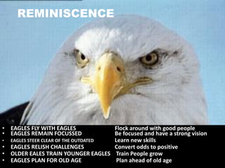 LIFE LESSONS FROM EAGLES for personal development | PDF | Birdwatching | Hobbies & Interests