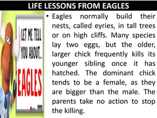 LIFE LESSONS FROM EAGLES for personal development | PDF