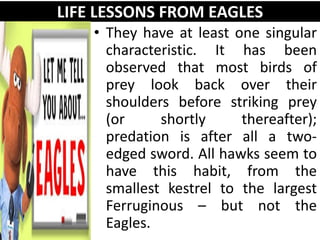 LIFE LESSONS FROM EAGLES for personal development | PDF