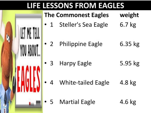 LIFE LESSONS FROM EAGLES for personal development | PPT