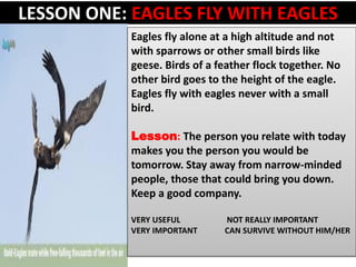 LIFE LESSONS FROM EAGLES for personal development | PDF | Birdwatching ...
