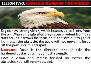 LIFE LESSONS FROM EAGLES for personal development | PDF