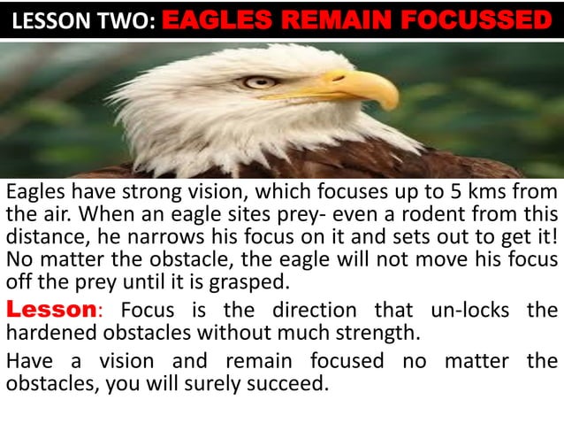 LIFE LESSONS FROM EAGLES for personal development | PPT