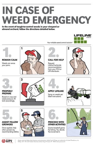 In case of weed emeRgency | PDF