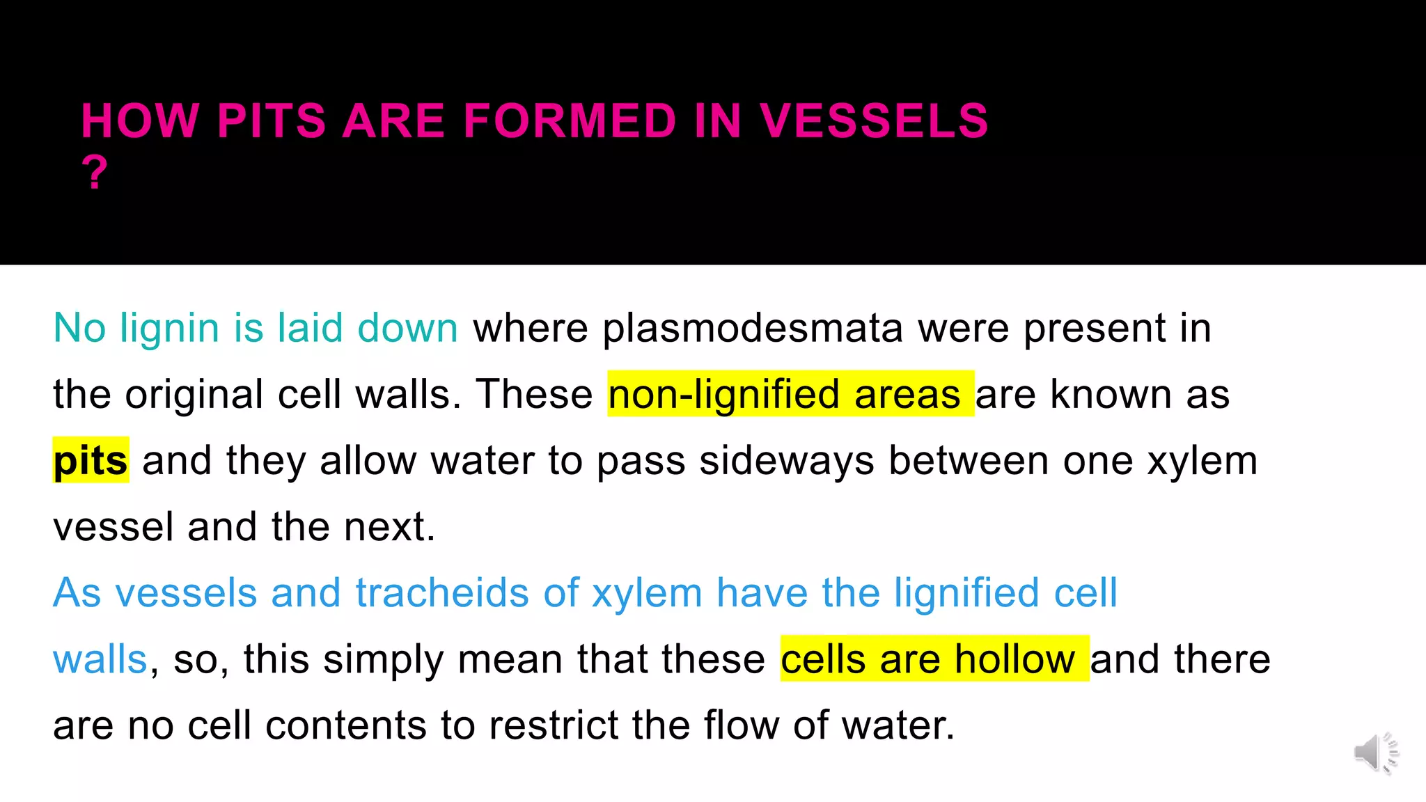 class 9th complex tissue xylem in detail | PPTX
