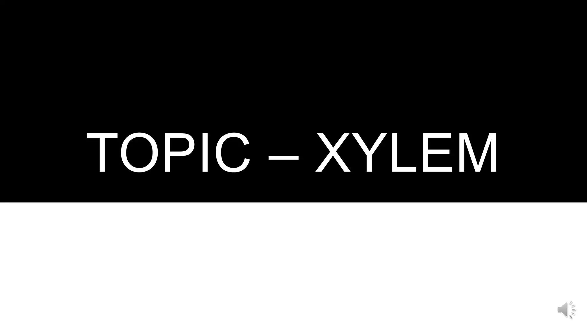 class 9th complex tissue xylem in detail | PPTX