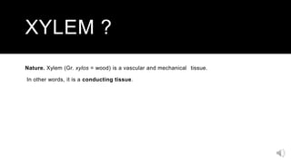 class 9th complex tissue xylem in detail | PPTX