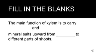 class 9th complex tissue xylem in detail | PPTX