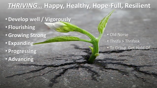 Life masters Adaptagility Tony Dovale crushingcoronav2020.09.4a