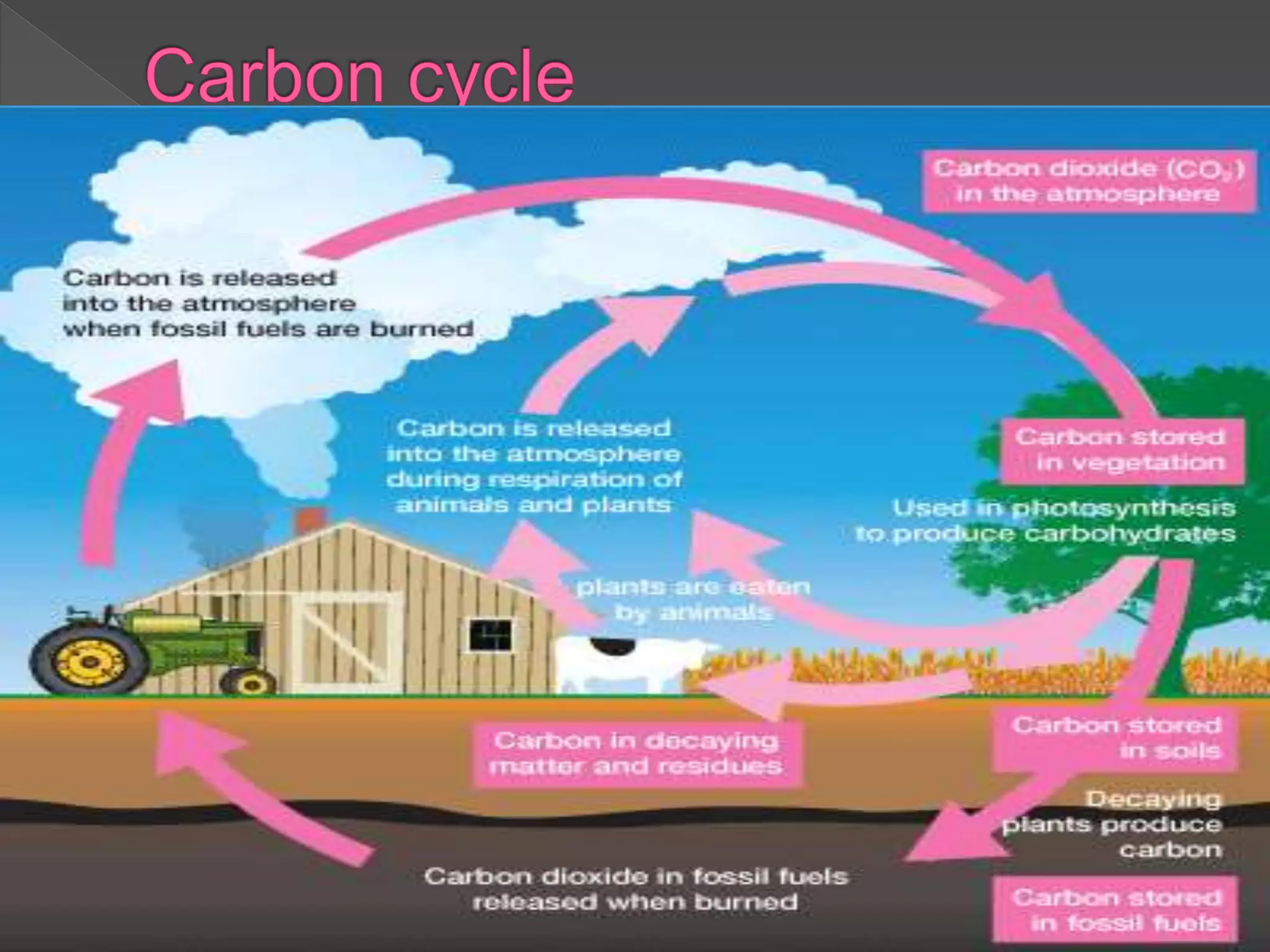 energy and matter in ecosystem | PPTX