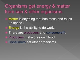 energy and matter in ecosystem | PPTX
