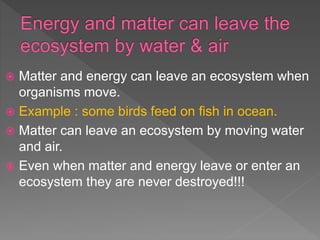 energy and matter in ecosystem | PPTX