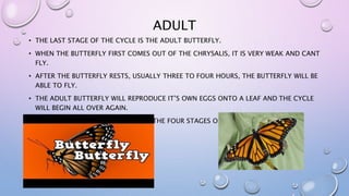 Life of a butterfly | PPTX