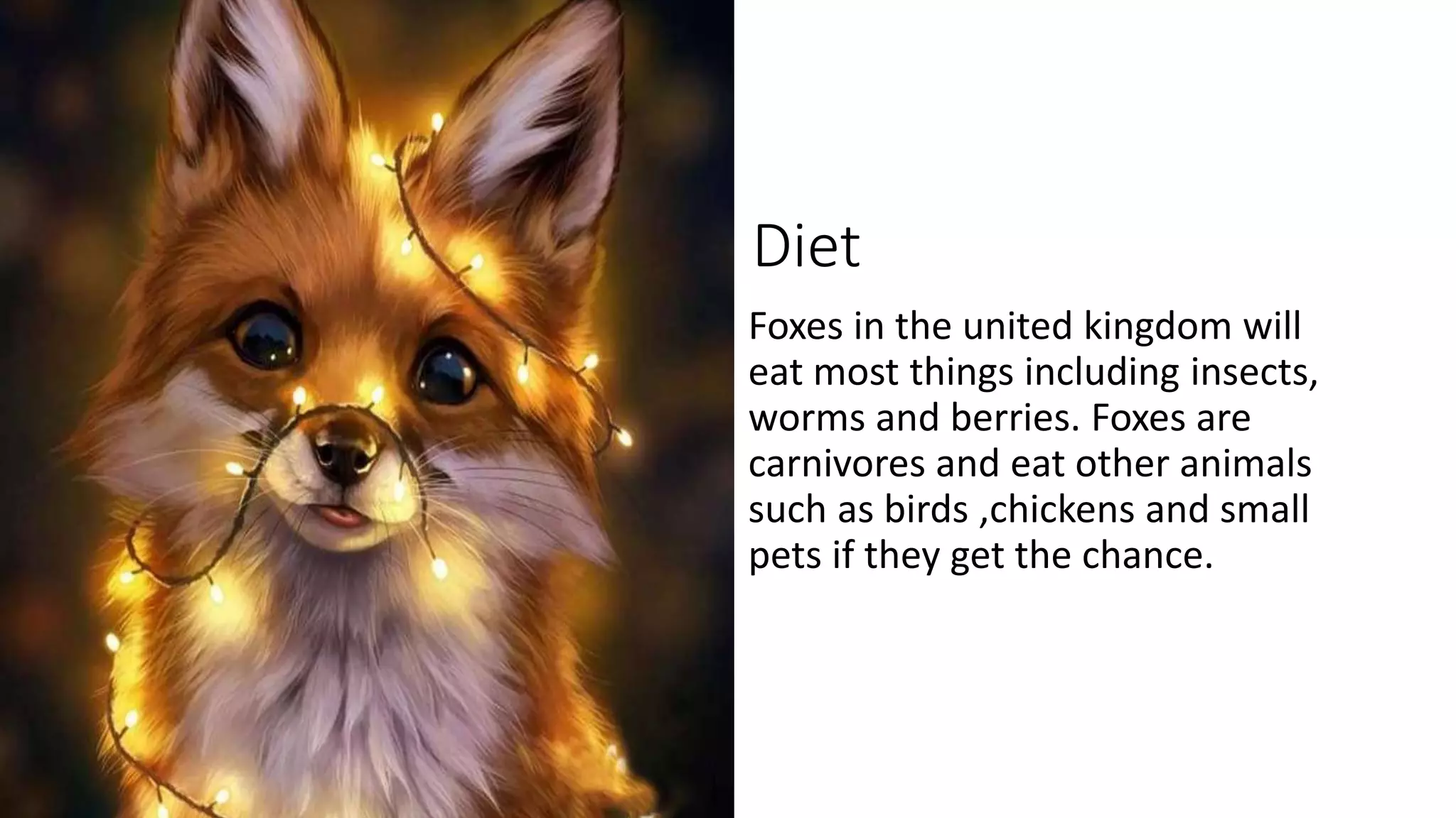 Life of a fox | PPTX