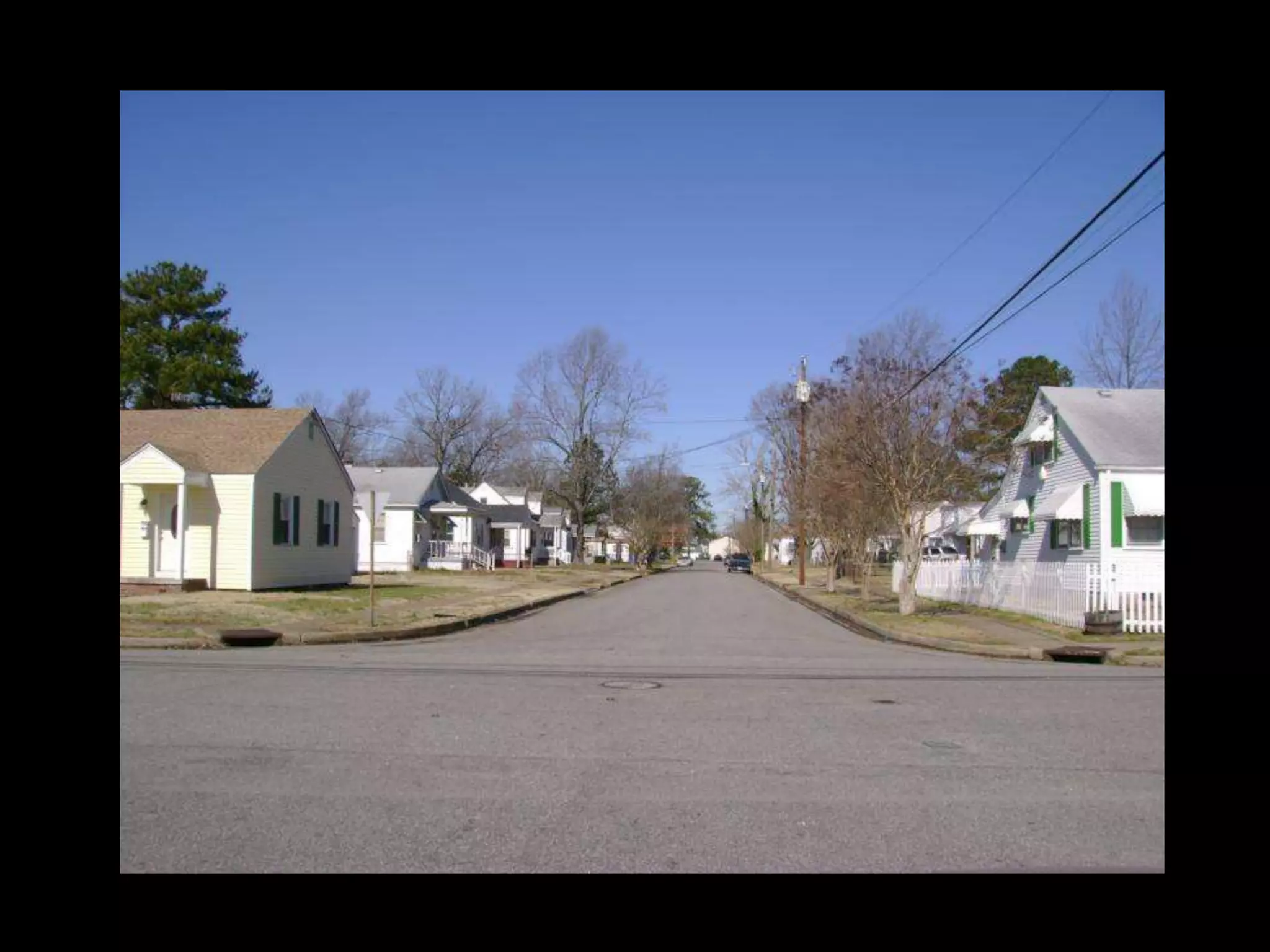 Life of violet winters | PPT