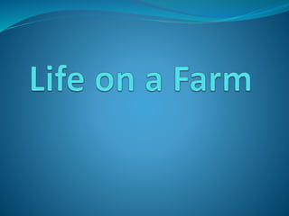 Long and Short O Sound | PPTX