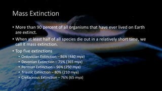 Life on Earth | PPT
