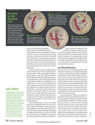 Life on Earth: Fresh clues hint at how the first living organisms arose ...