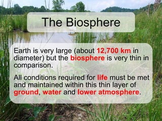 Life On Planet Earth | PPT