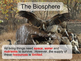 Life On Planet Earth | PPT