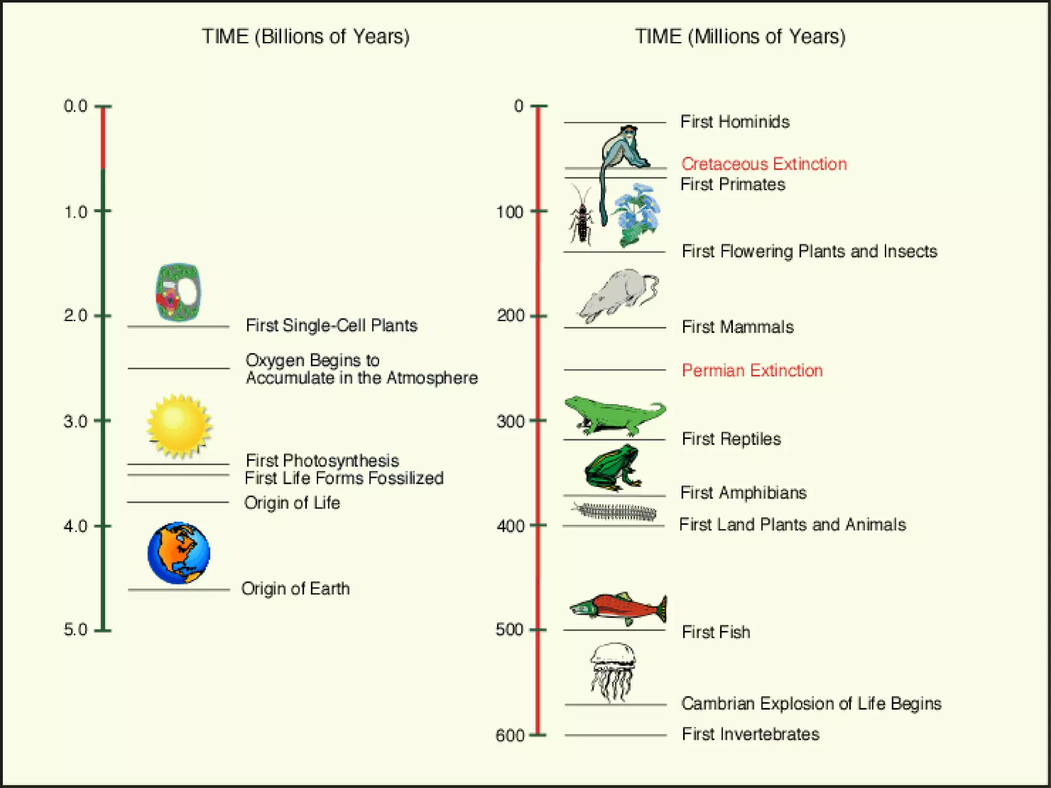 Evolution of Planet Earth and Life | PPTX