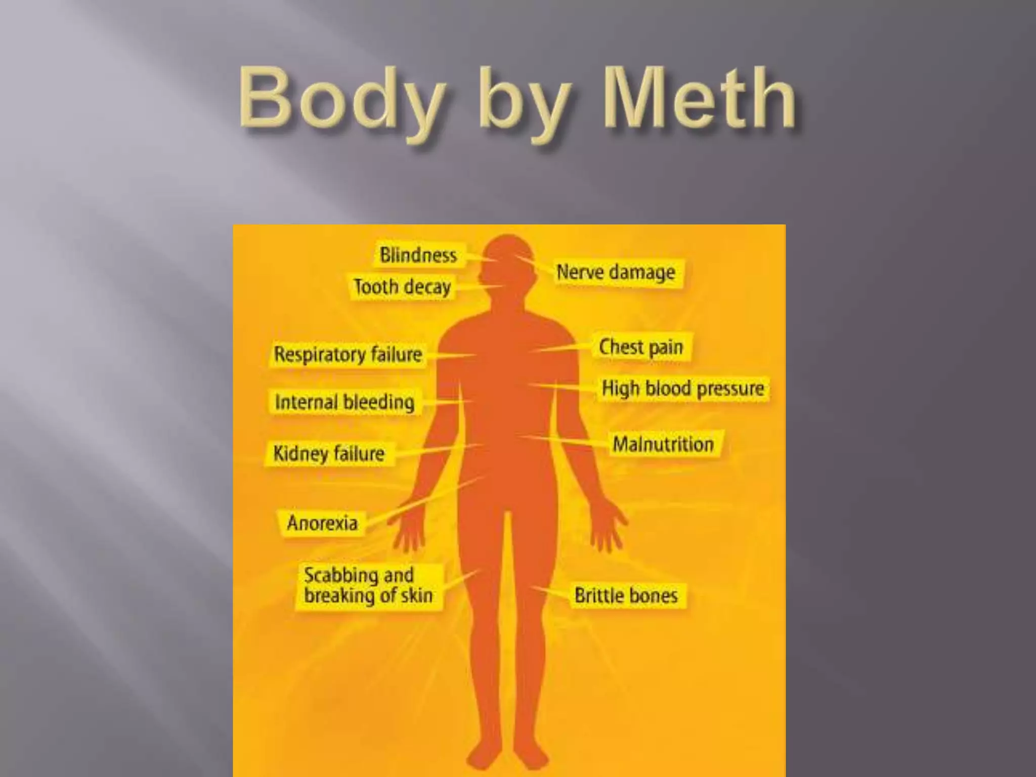 Life Or Meth Power Point Show | PPSX