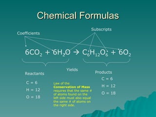 LIFE AND COMPOSITION OF CELLS AND ITS FUNDAMENTALS | PPT