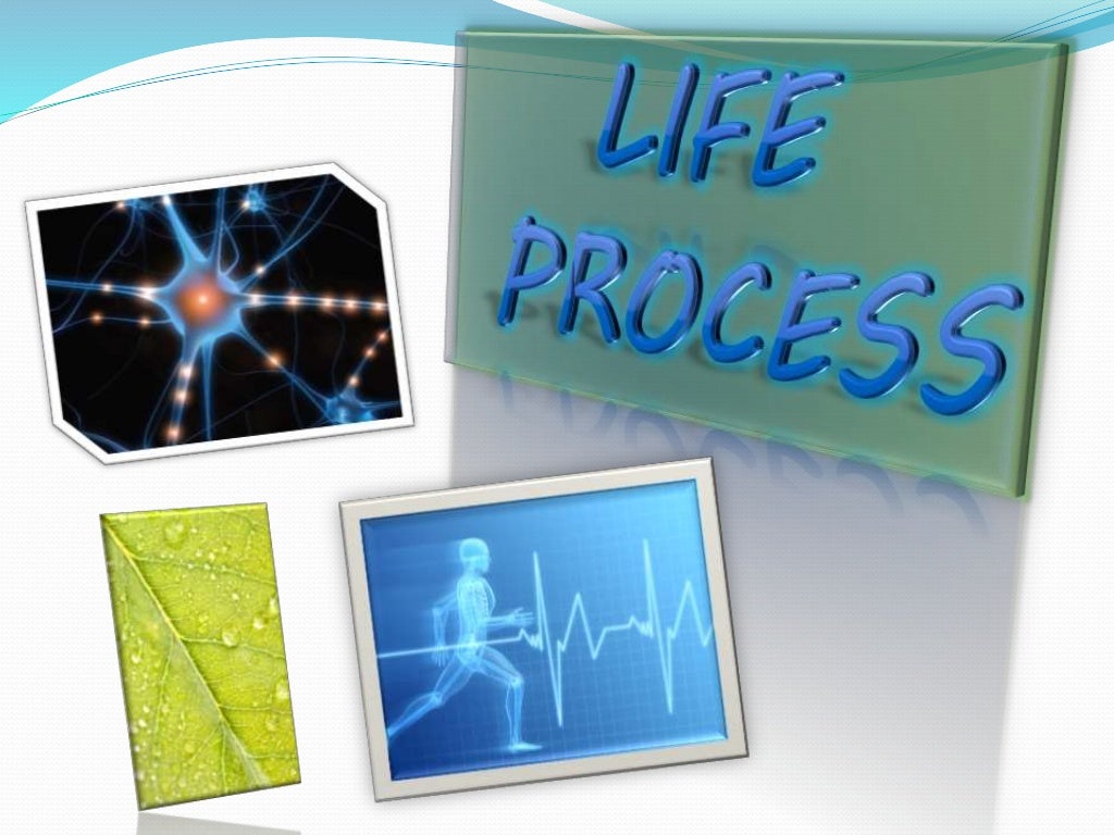 Life process...