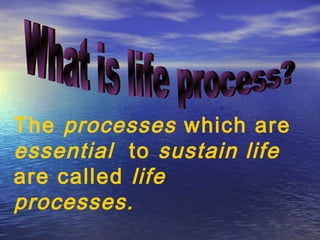 Life process | PPT