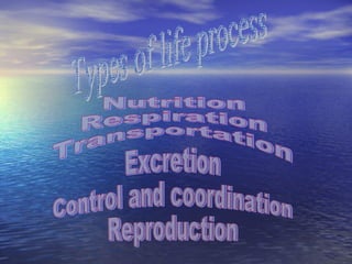 Life process | PPT