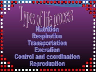 Lifeprocess | PPT