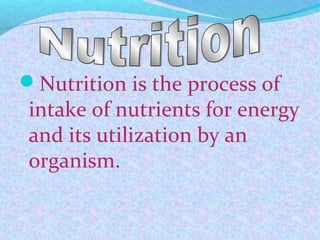 Lifeprocess | PPT