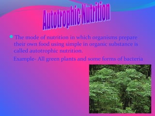 Lifeprocess | PPT