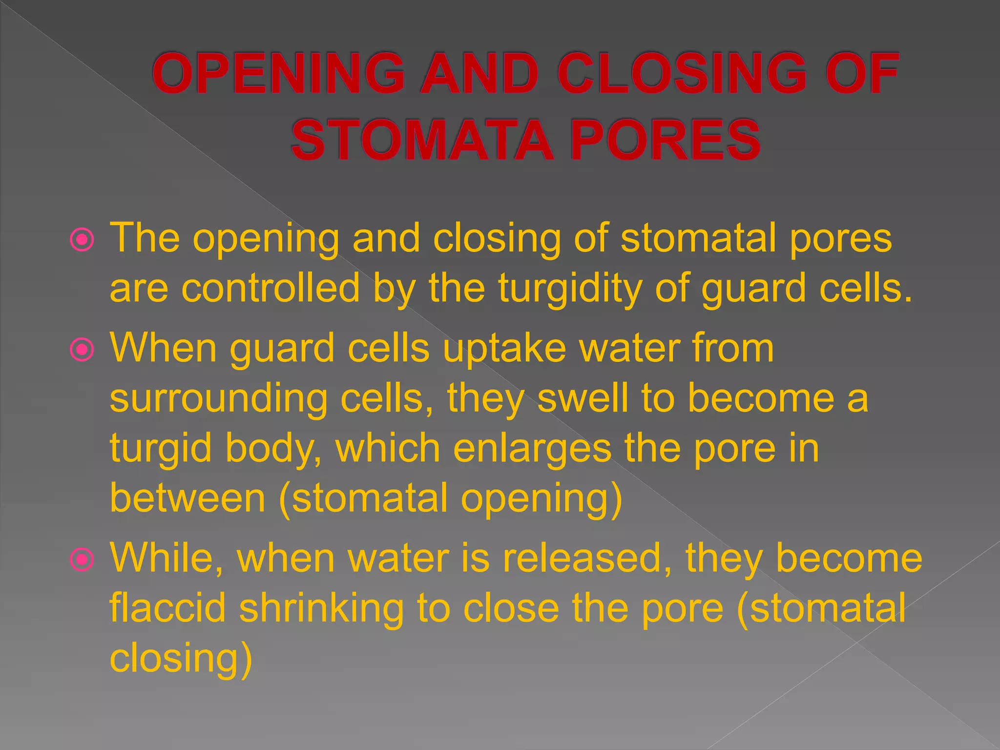 Life process class 10 cbse | PPTX