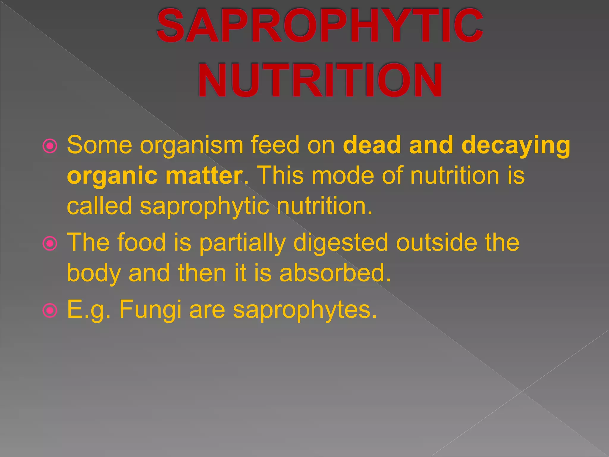 Life process class 10 cbse | PPTX