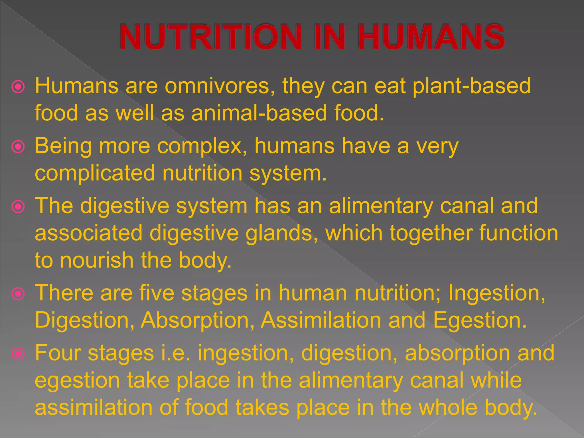 Life process class 10 cbse | PPTX