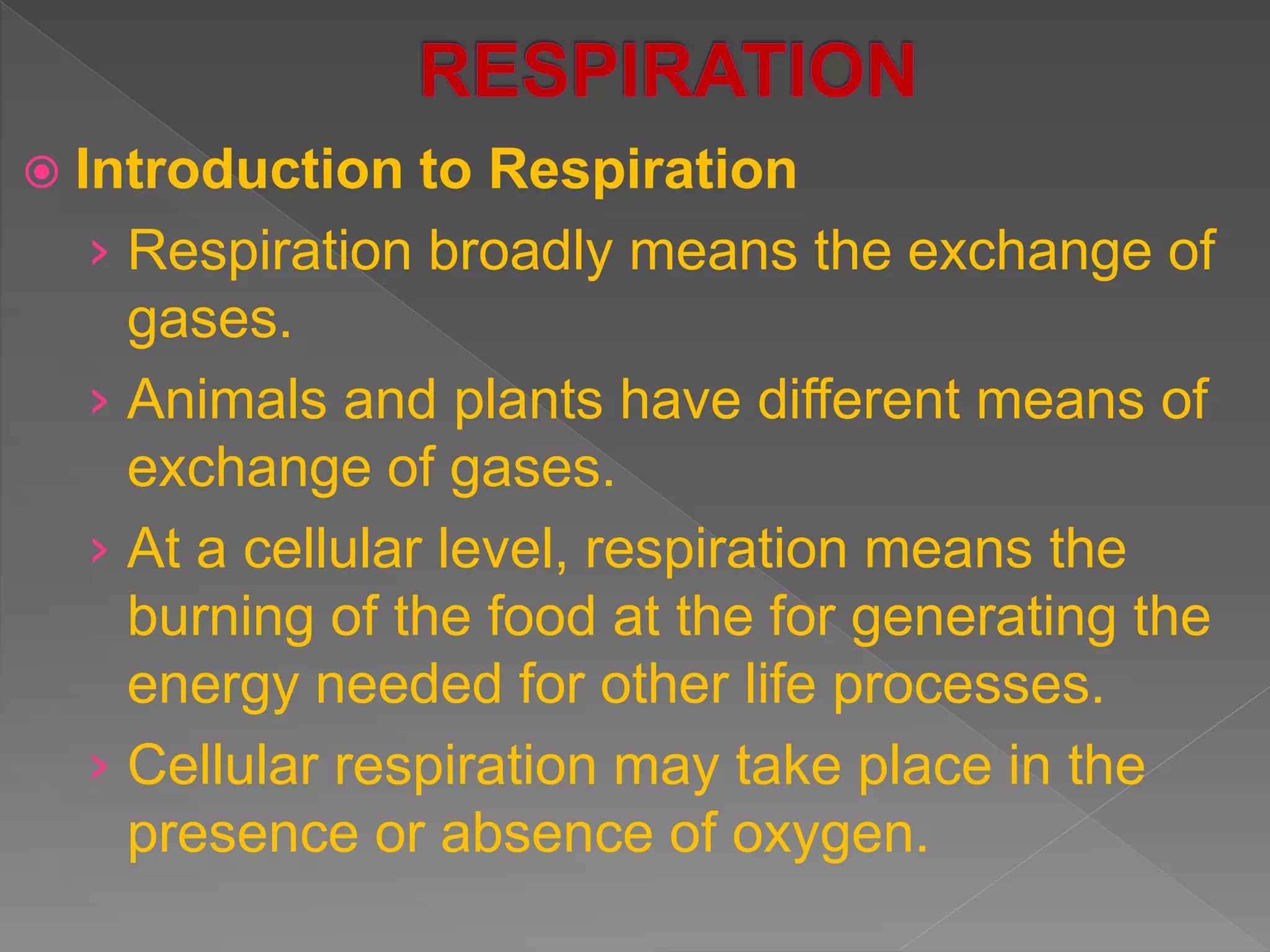Life process class 10 cbse | PPTX
