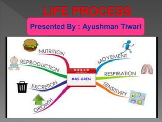 Life process class 10 cbse | PPTX