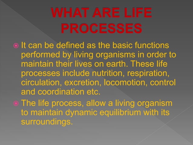 Life process class 10 cbse | PPTX