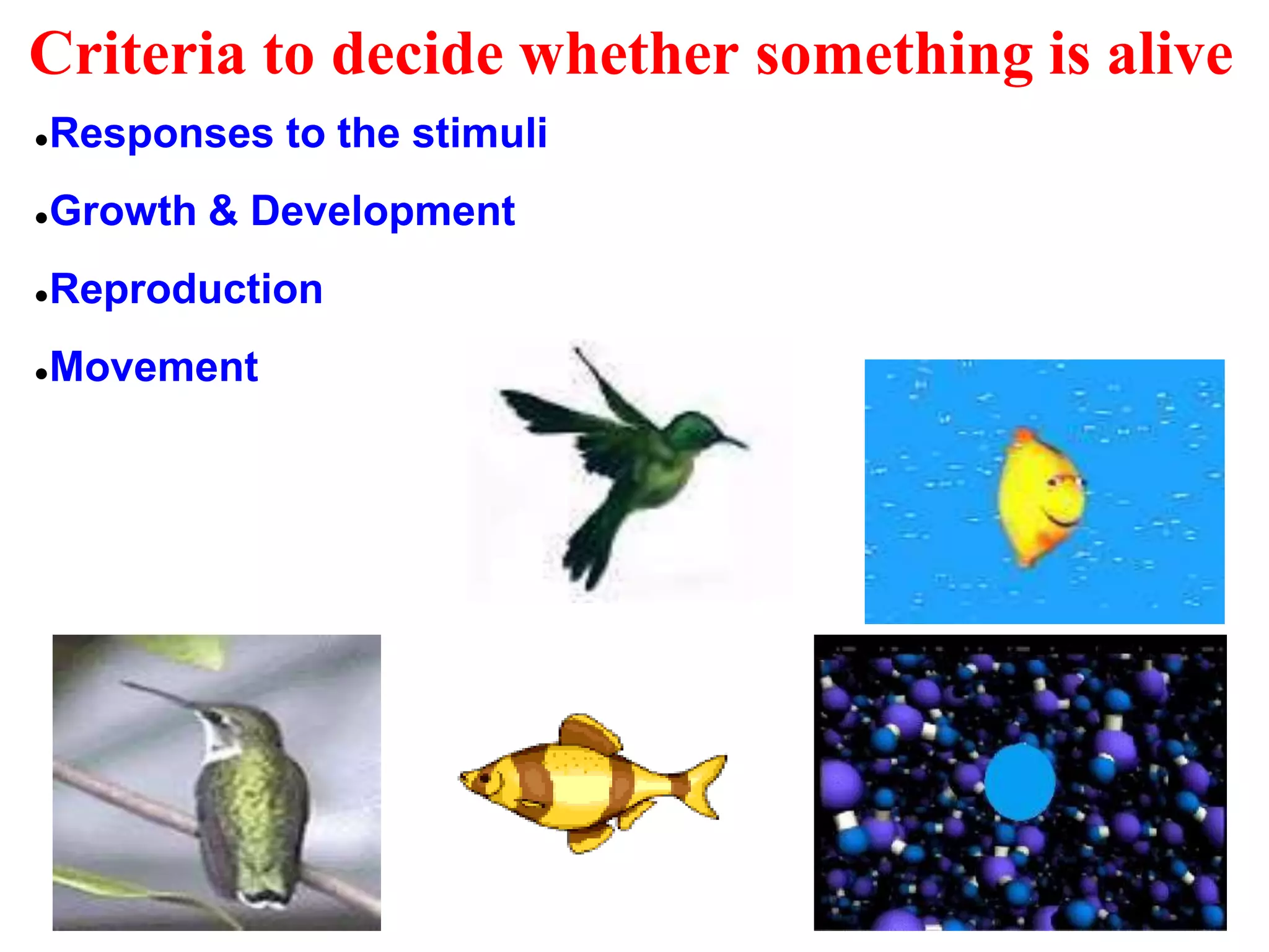 Life Process (CBSE - X) | PPTX | Digestive Disorders | Diseases and ...