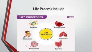 Life process | PPTX