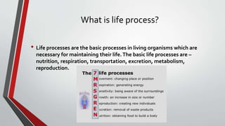 Life process | PPTX