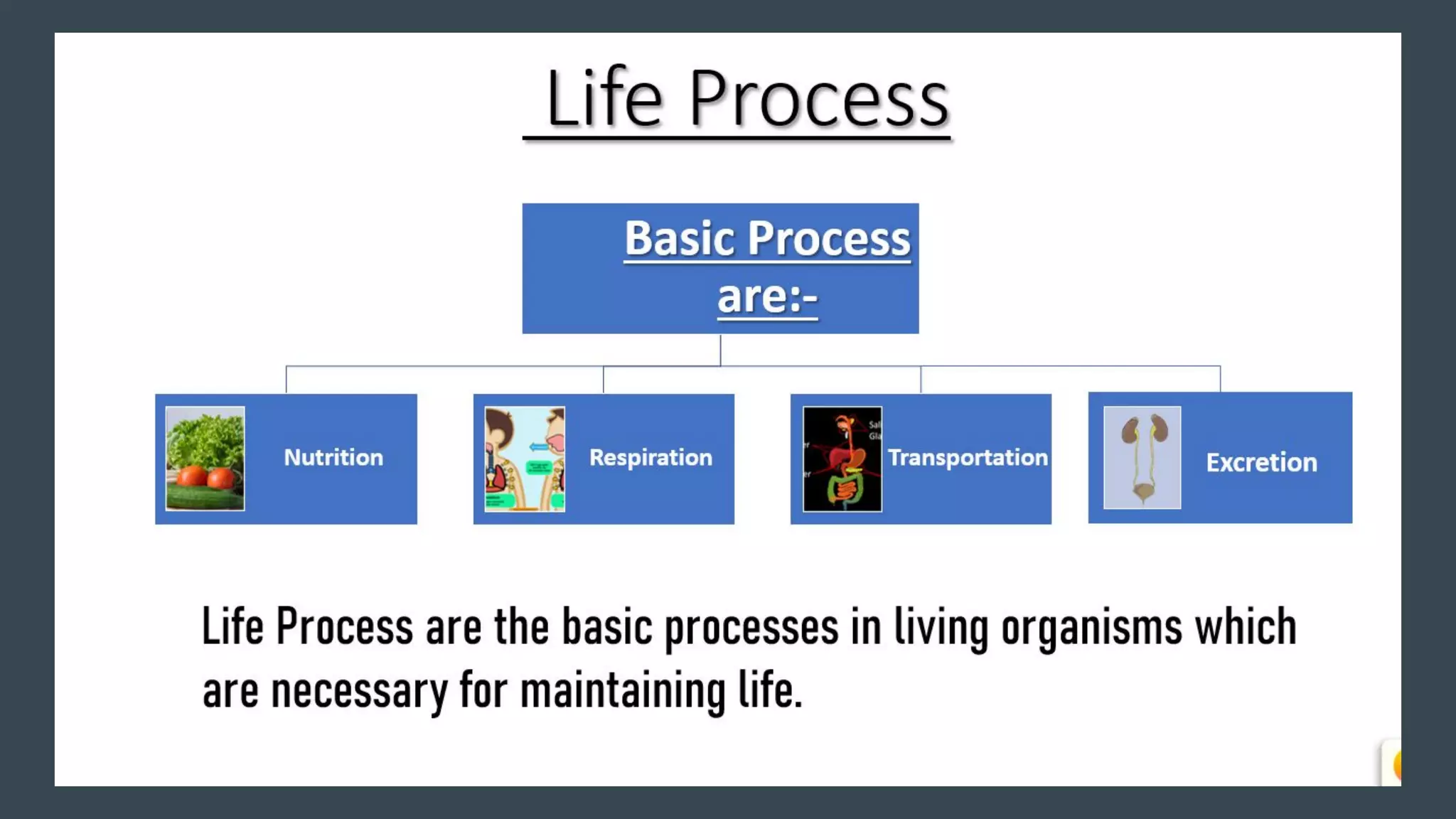 Life process | Nutrition | class10 |Chapter6 | PPT