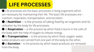 life process BY MOHIT SIR | PPT