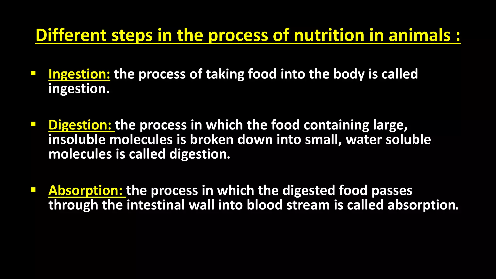 LIFE PROCESS.pptx