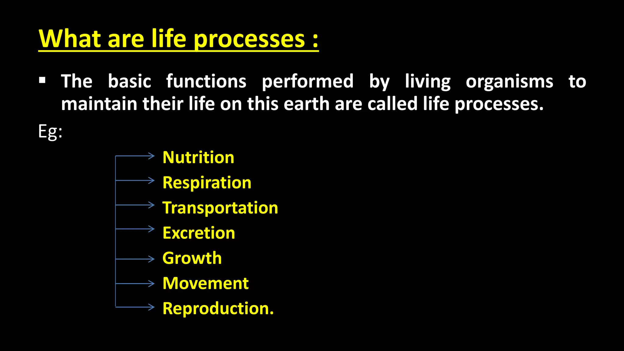 LIFE PROCESS.pptx