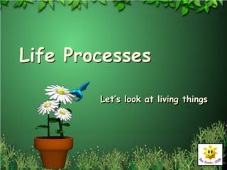 life process.pdf presentation in grade 4 | PDF