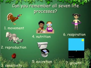 life process.pdf presentation in grade 4 | PDF