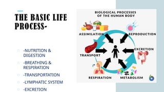 Life process Class10 Chapter 1 Biology Notes | PPT